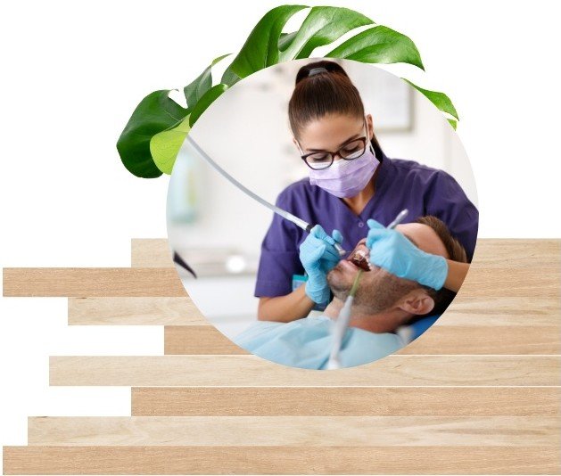 Meet Our Murphy, TX Children's Dentist, Dr. Josephine Yip | Bloom ...